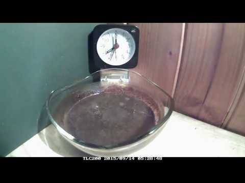 Decomposition of Coffee - time lapse (with sugar) Jacobs Krönung (kawa ...