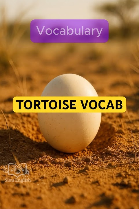 Tortoise Vocabulary🐢| Learn English #english #tortoise #slouenglish ...