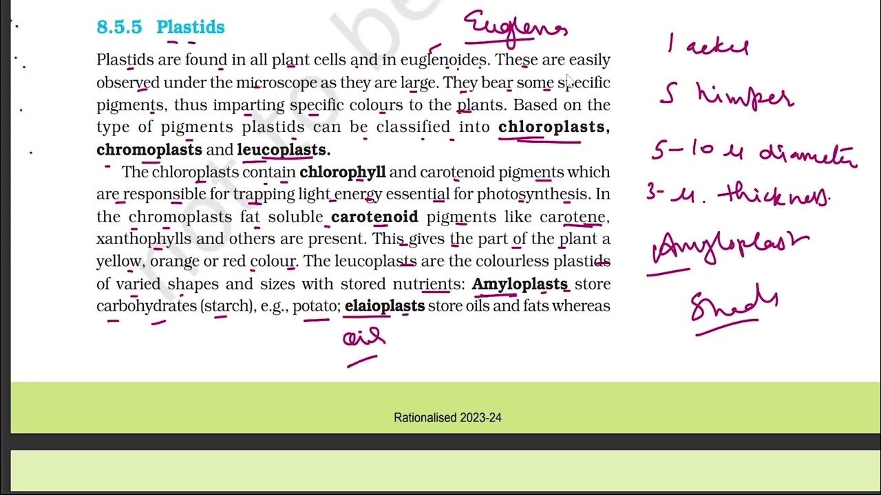 Cell Structure and Function Class 11 Part 15 ,Plastid, Explained by ...