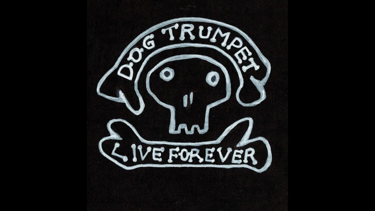Dog Trumpet track by track through Live Forever with Peter O'Doherty ...