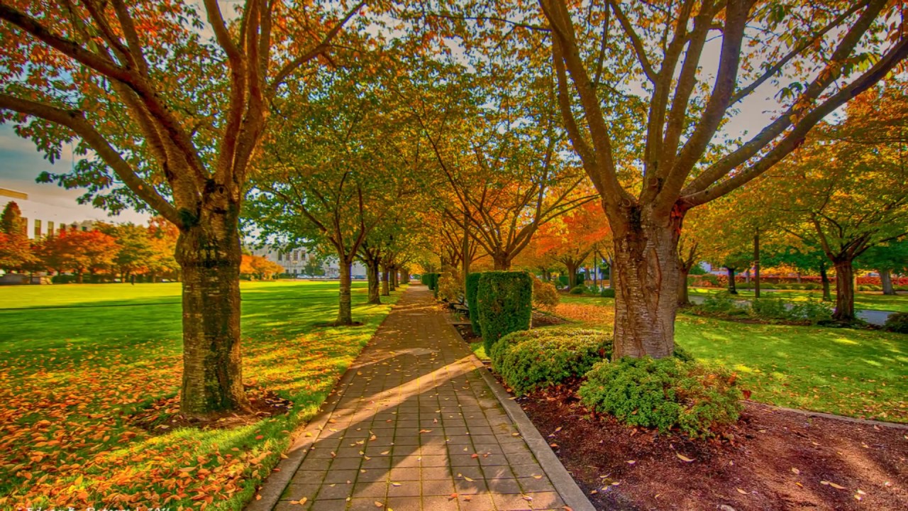 2016 Autumn in Salem - YouTube