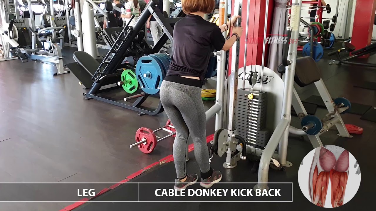 Back leg - Cable donkey kick back - YouTube