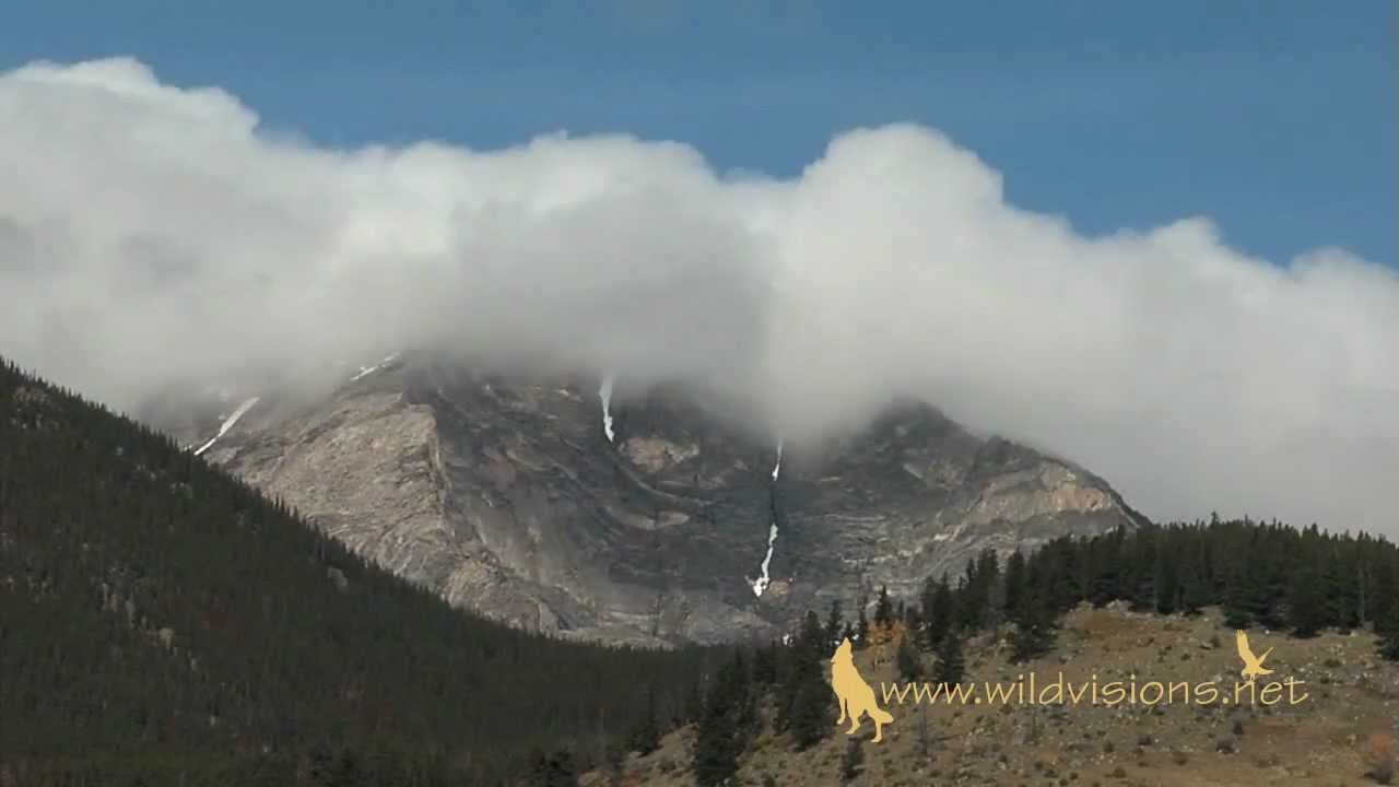 Time lapse Nature Scenery.mp4 - YouTube