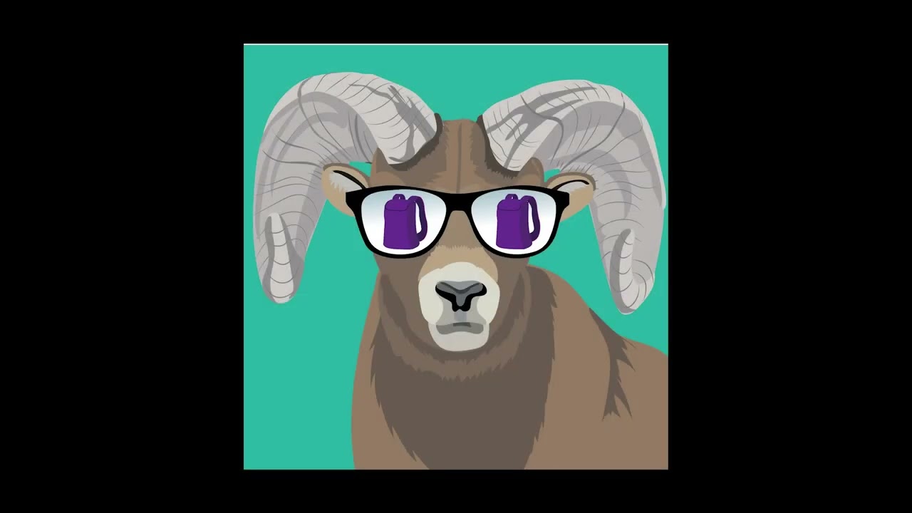 Banff National Park | Wildlife Rules: Pack Your Pack - YouTube