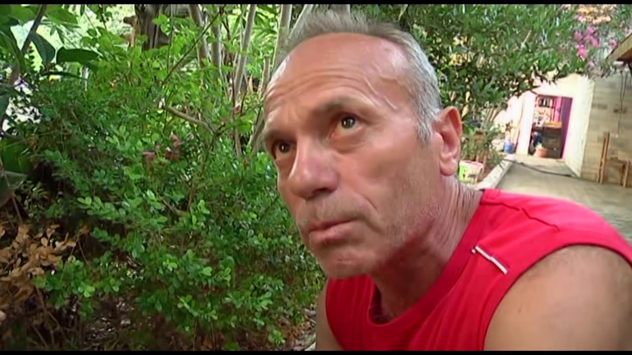 Mushkonja Tigër në Divjakë | ABC NEWS - YouTube