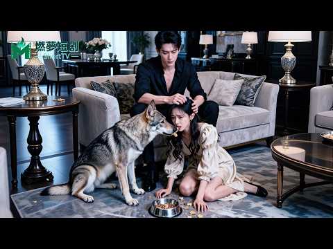 結婚5年，總裁一直把妻子當成玩物每天召之即來揮之不去，直到他強逼妻子跪地吃狗食，妻子不再忍讓提出離婚，一向冷靜的總裁慌了！| 星月不再为他明 #追妻火葬場 #霸总 #爱情 #短剧