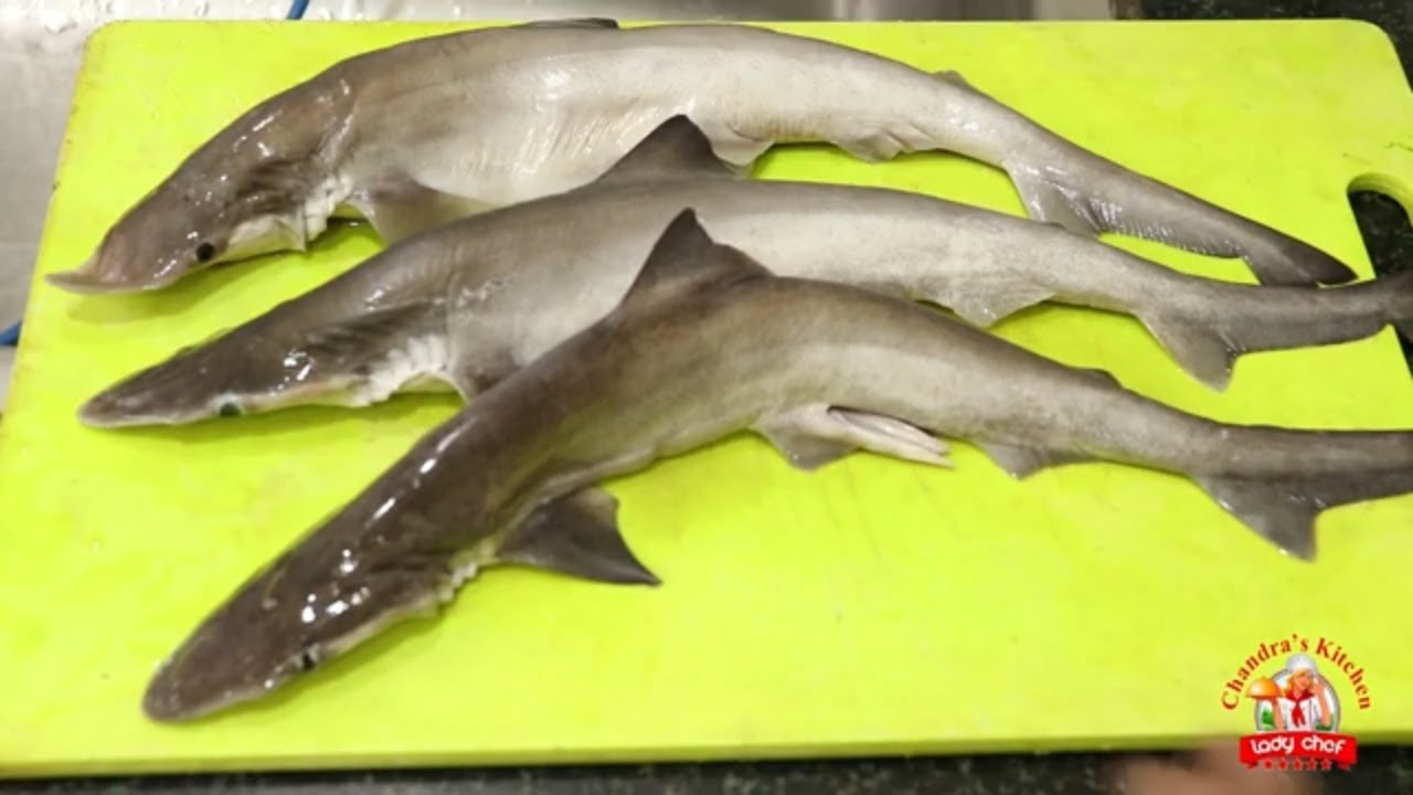 சுறா மீன் சுத்தம் செய்வது எப்படி |sura meen cleaning in Tamil | how to ...