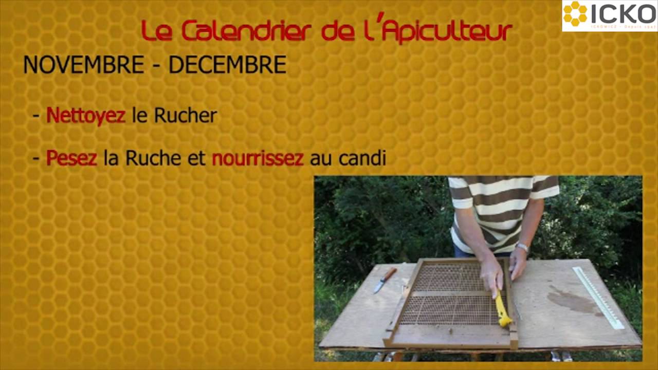Apiculture : calendrier apicole septembre à février - Truffaut - YouTube