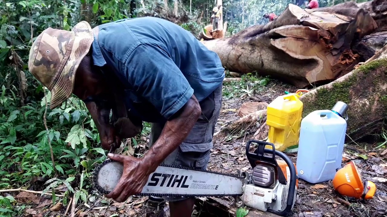 PNGDF ENGINEERING BATTALION MADANG DETACHMENT 2020 - YouTube