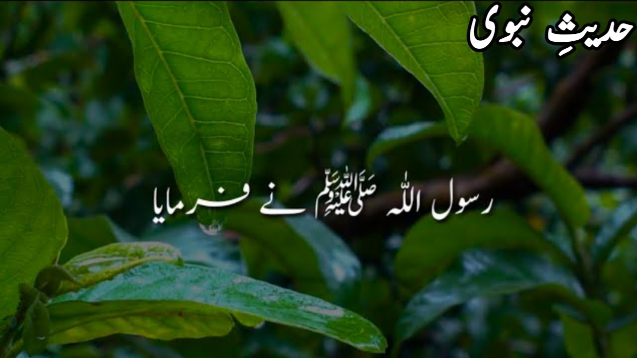 Hadees E Nabvi || New WhatsApp Status With Beautiful Nature || Hadees ...