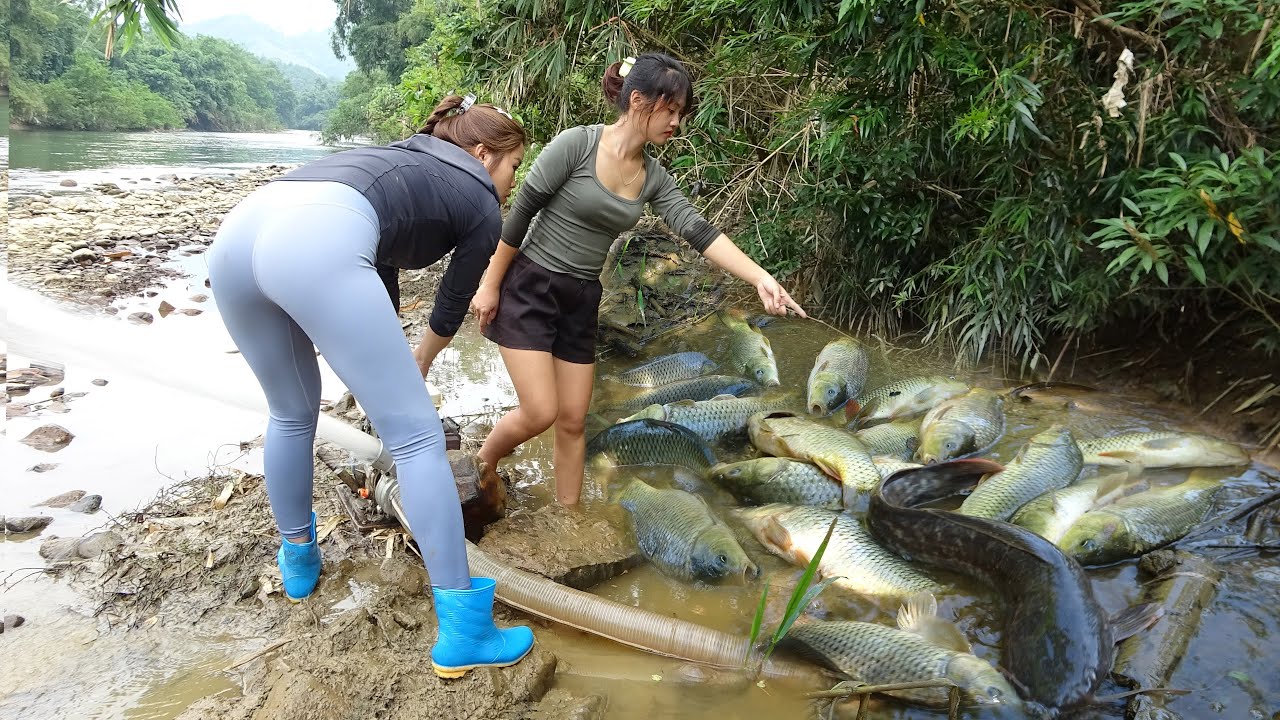 TIMELAPSE: How to Fishing in The Wild, Harvesting Many Big Fish, Sell ...