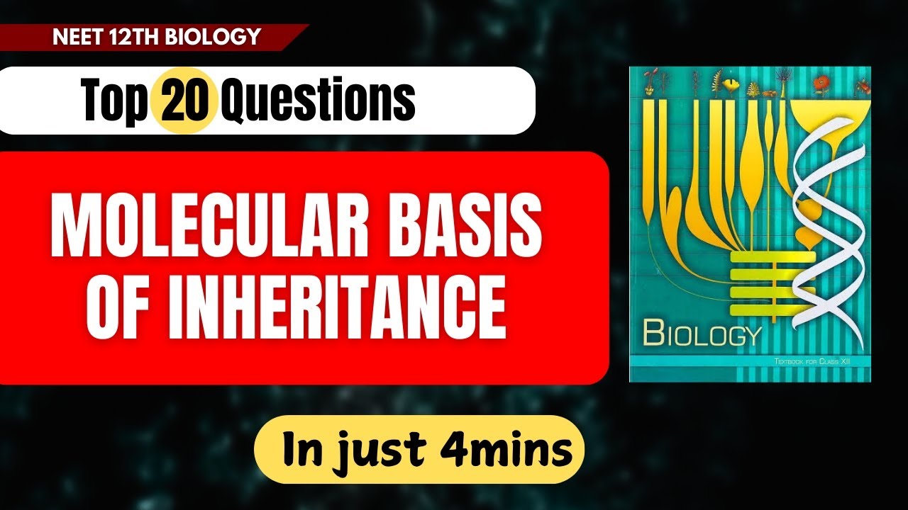 MOLECULAR BASIS OF INHERITANCE |Top 20 Questions NEET|NEET MCQS| NEET ...