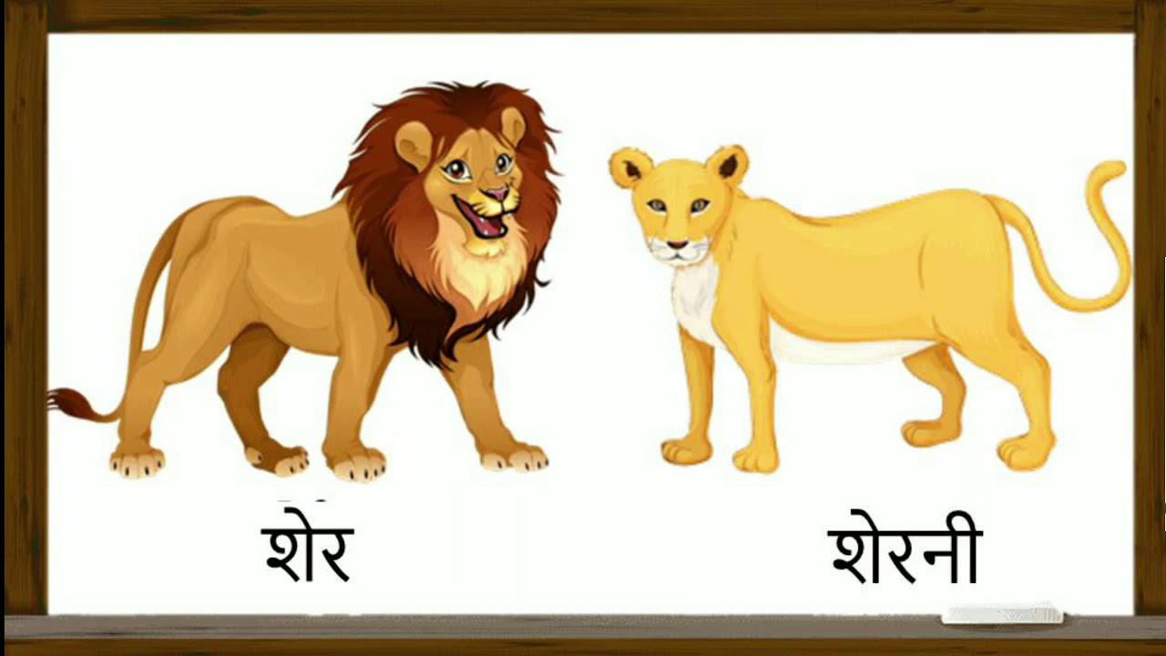 Hindi Vyakaran Ling Gender For 1st 10th Standard By Priya Singh hindi-vyakaran-ling-gender-for-1st-10th-standard-by-priya-singh