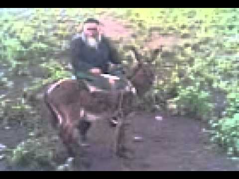 TAJIK COWBOY