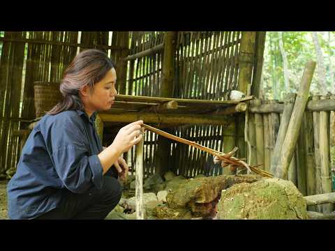 The girl's survival life in the forest: gathering vegetables, catching fish, hunting wild animals.