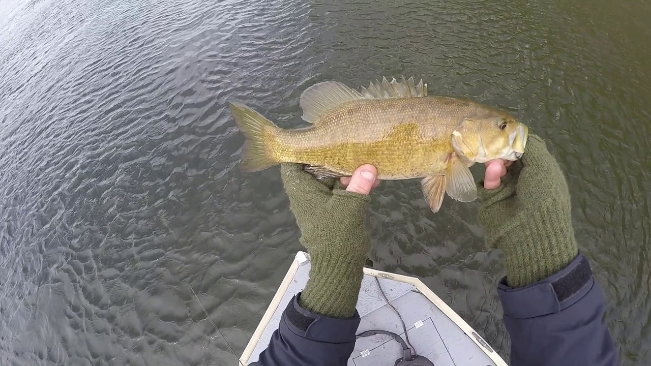 Early Spring Smallmouth Bass River Fishing - YouTube