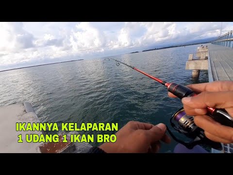 MANCING PAS AIR PASANG HASILNYA MEMUASKAN - YouTube