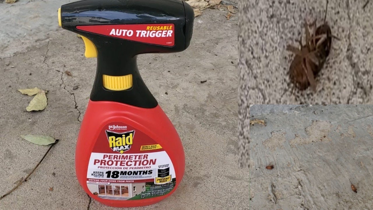Raid Max Cockroach Perimeter Protectoin Spray Auto Trigger works good ...