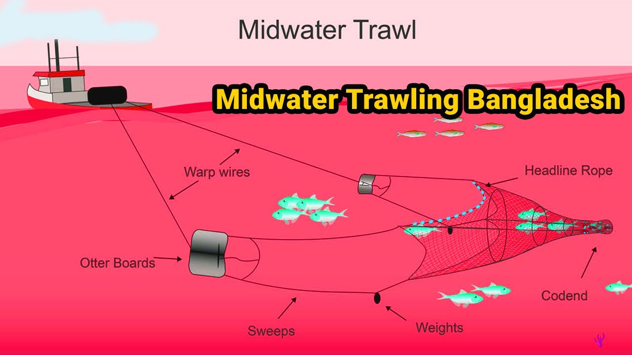 Midwater Trawling