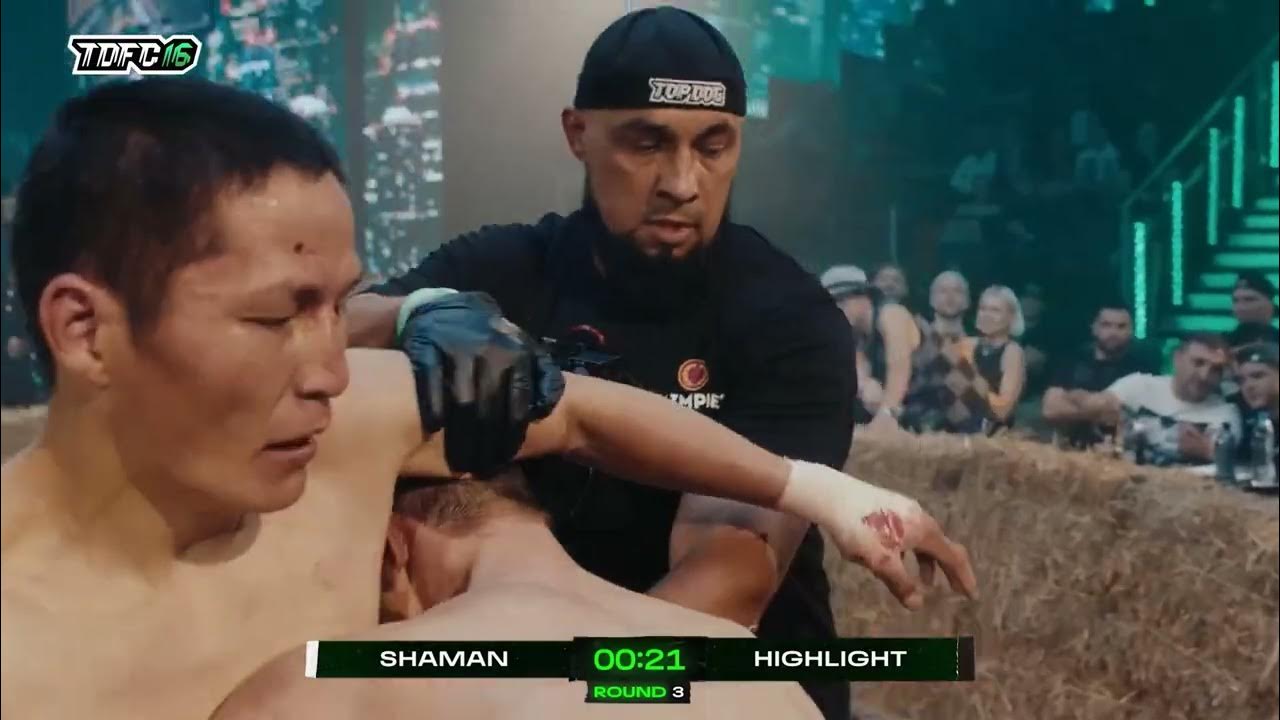 Best Fight of TOPDOG #TDFC 16 | Shaman, Kalazhokov, Gannibal, Palach | Strongest Fighters of ...