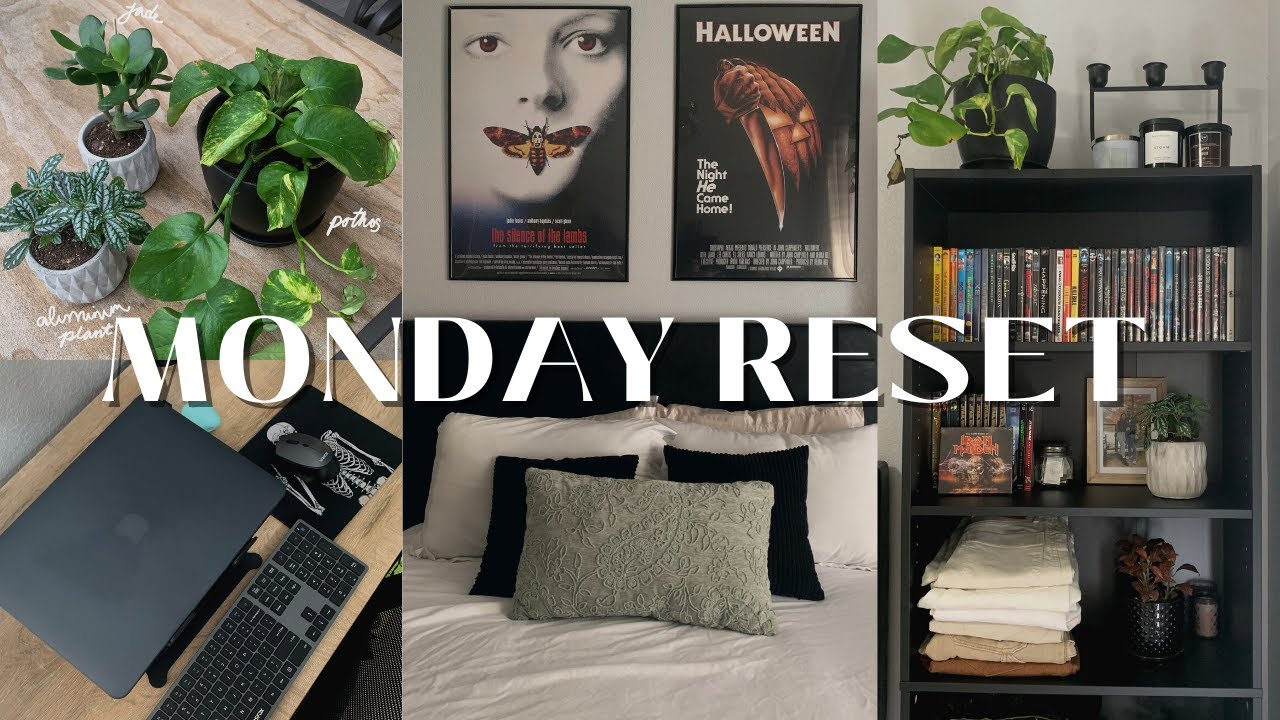 MONDAY RESET: cleaning, productive day, weekly errands, new plants ...