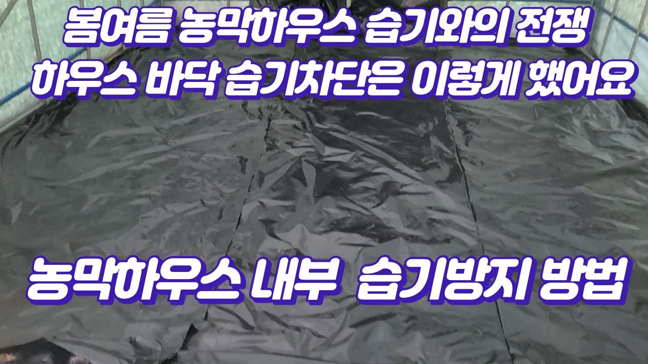 비닐하우스 농막 습기때문에 힘들어요 이렇게 해보세요비닐하우스 습기방지농막 바닥공사비닐하우스 습기차단 Youtube