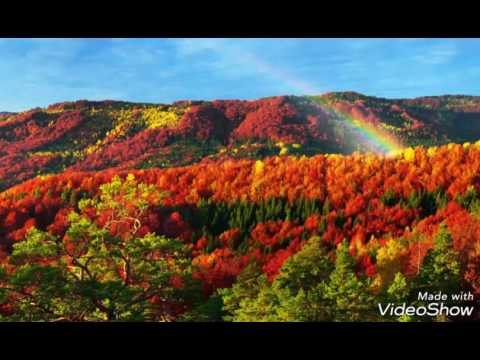 Canım Anam Feyzullah koç