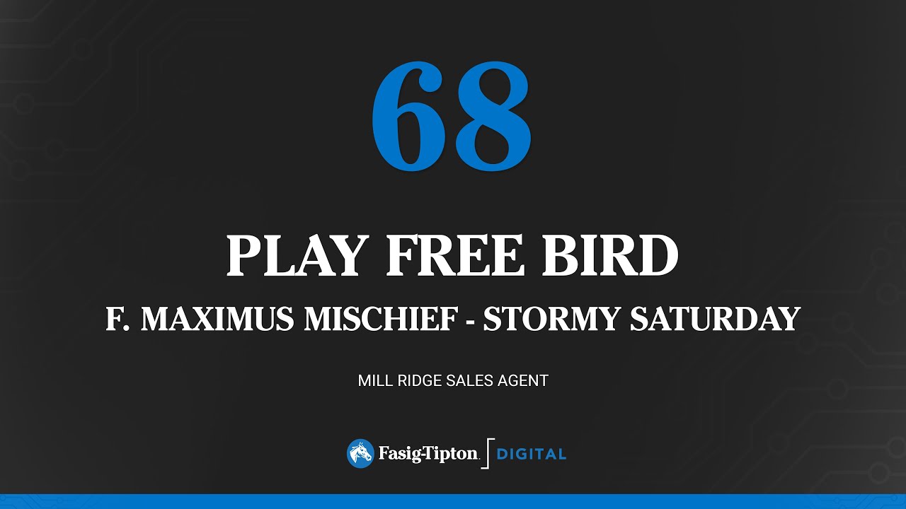 68 Play Free Bird - YouTube