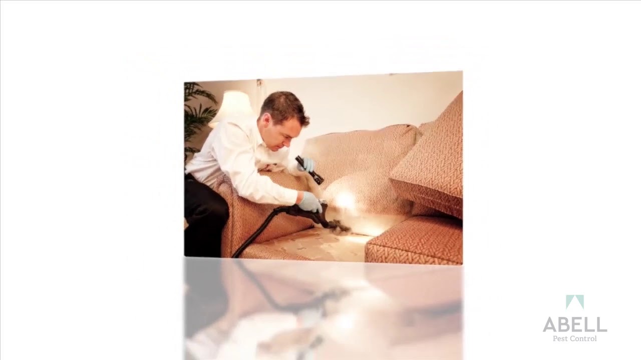 Bed Bug Training Ch7 Clean Out Follow Up Service - YouTube