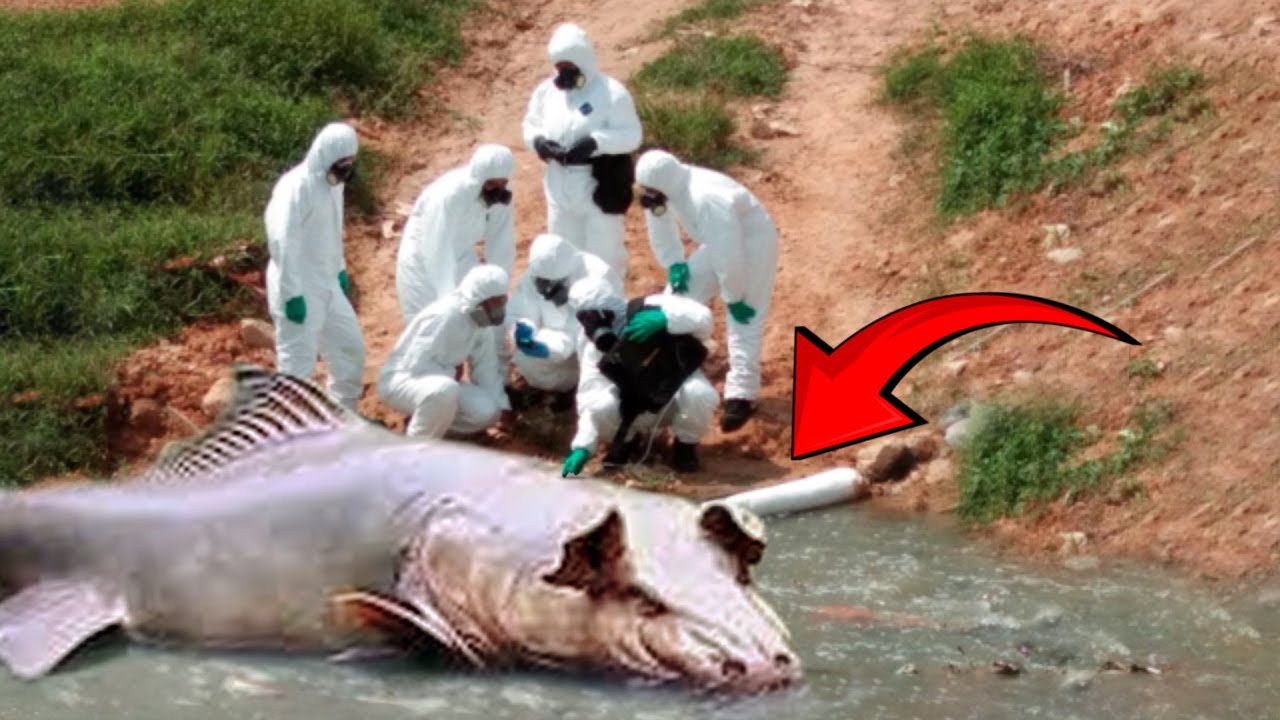 What They Found on the Edge of the Euphrates River, Shocked the Whole ...
