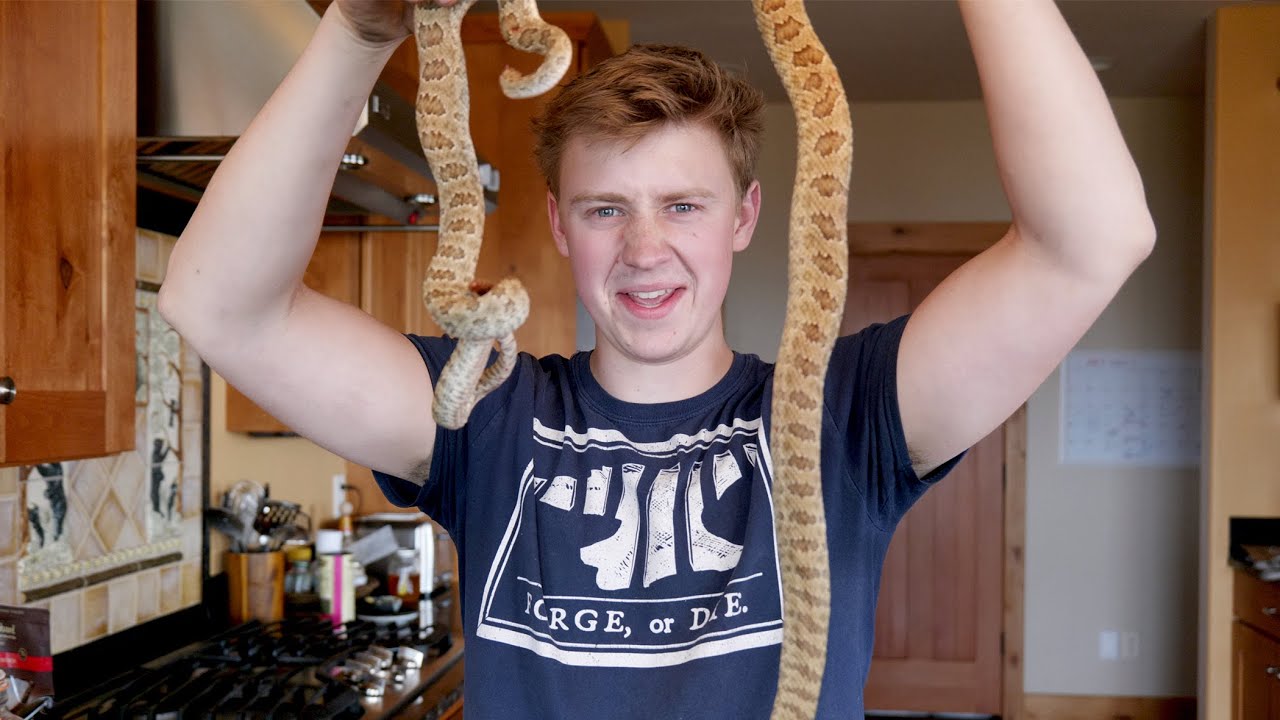 Trying To Make Snake Tacos - YouTube