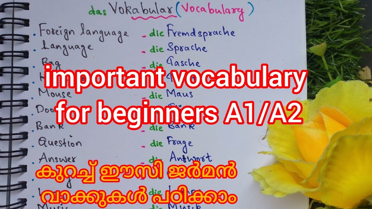 Important German vocabulary for beginners A1/A2 - YouTube