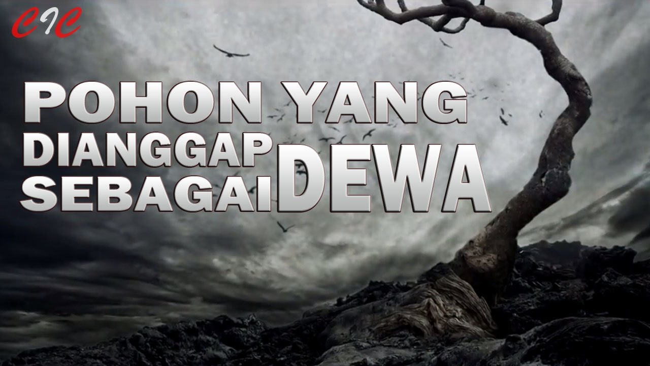 KISAH POHON YANG DIANGGAP SEBAGAI DEWA - YouTube