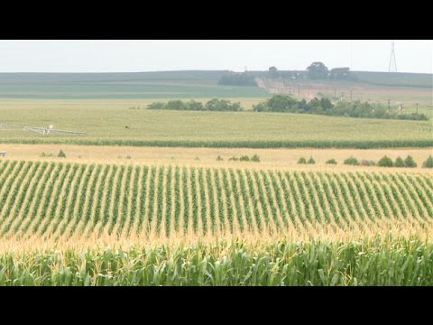 Water Use & Efficiency - Roric Paulman - August 7, 2015 - YouTube