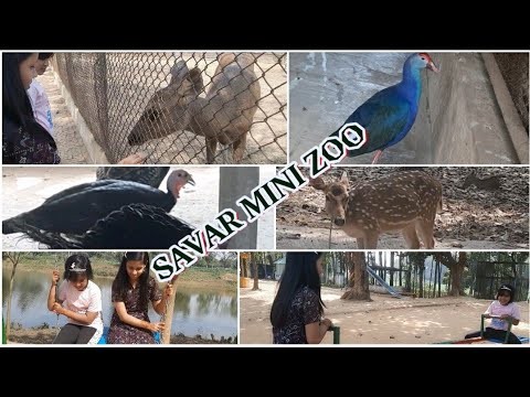 SAVAR MINI ZOO।। প্রকৃতির মাঝে সাভারের মিনি চিড়িয়াখানায় একদিন।। #চিড়িয়াখানা #zoo🐒🐻 ...