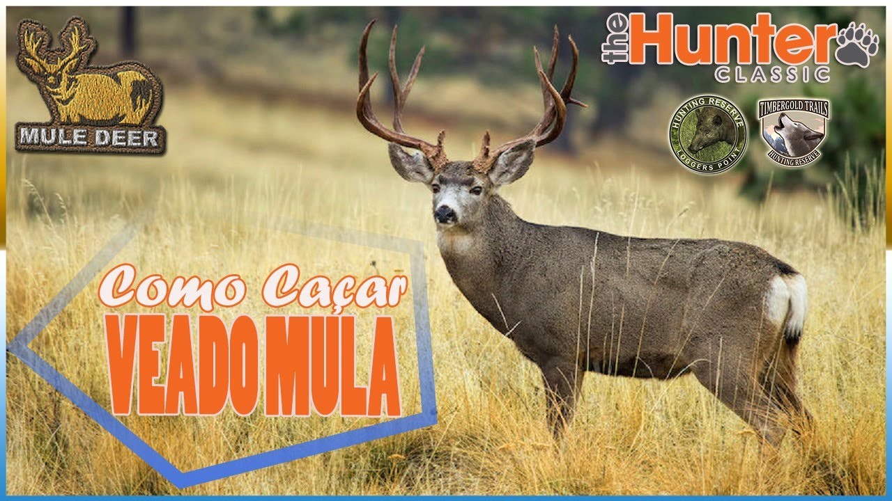 COMO CAÇAR VEADO MULA - The Hunter Classic - YouTube