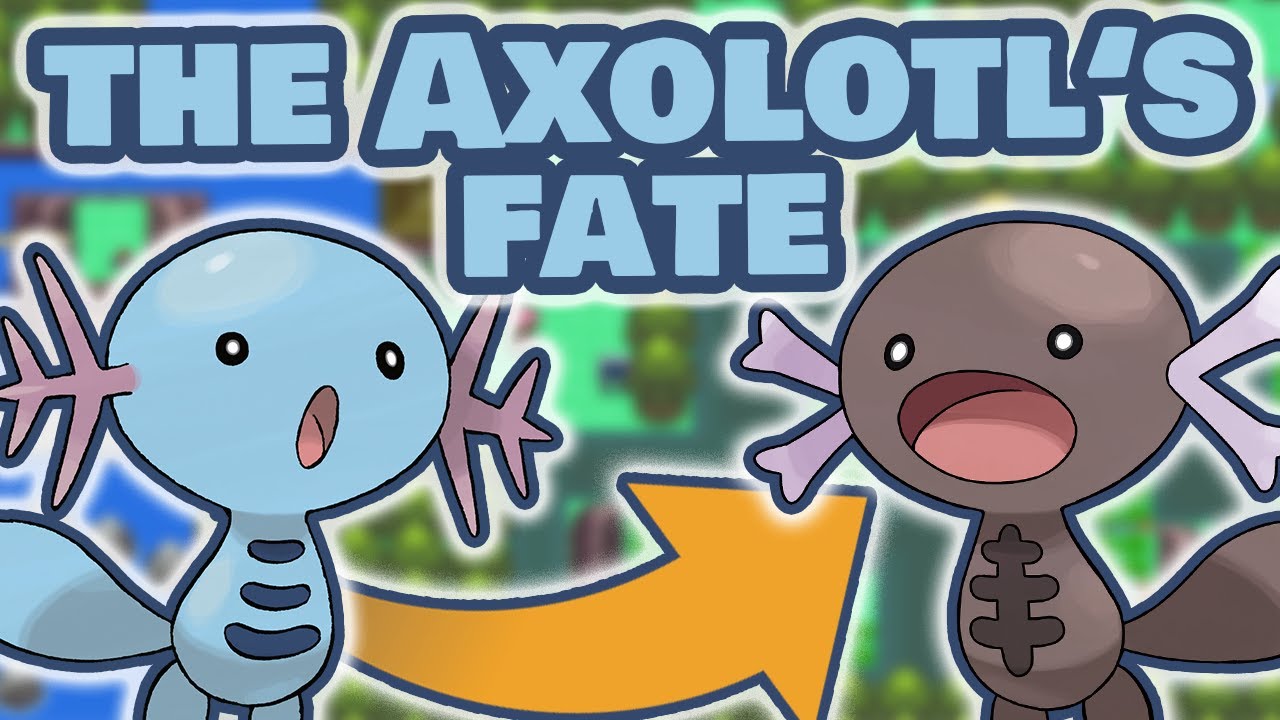 Pokéology: Wooper - the Origins of Wooper and Paldean Form #194 - YouTube
