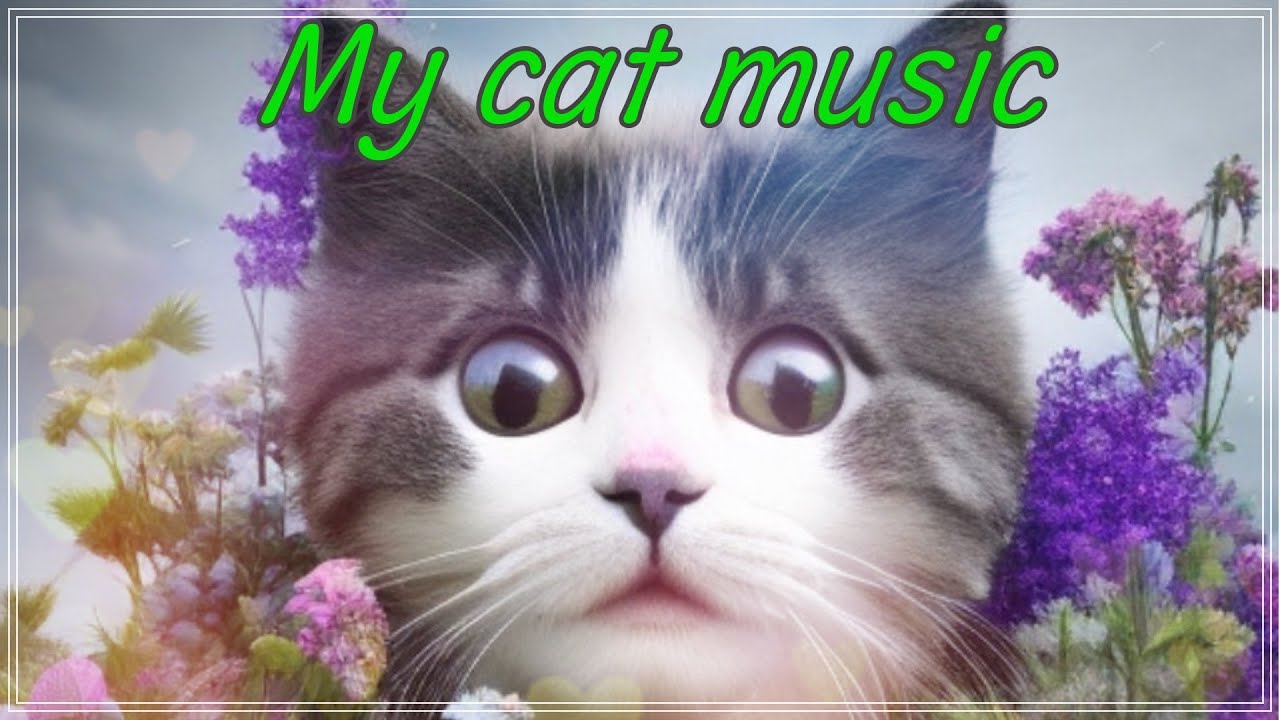 Music for napping cats 🌈 Music that cats love - YouTube