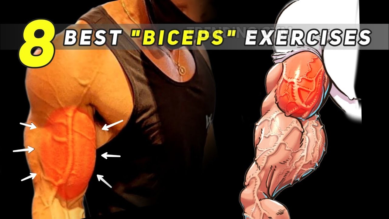 Want Bigger Biceps - Try These 8 Best Biceps Exercises - YouTube