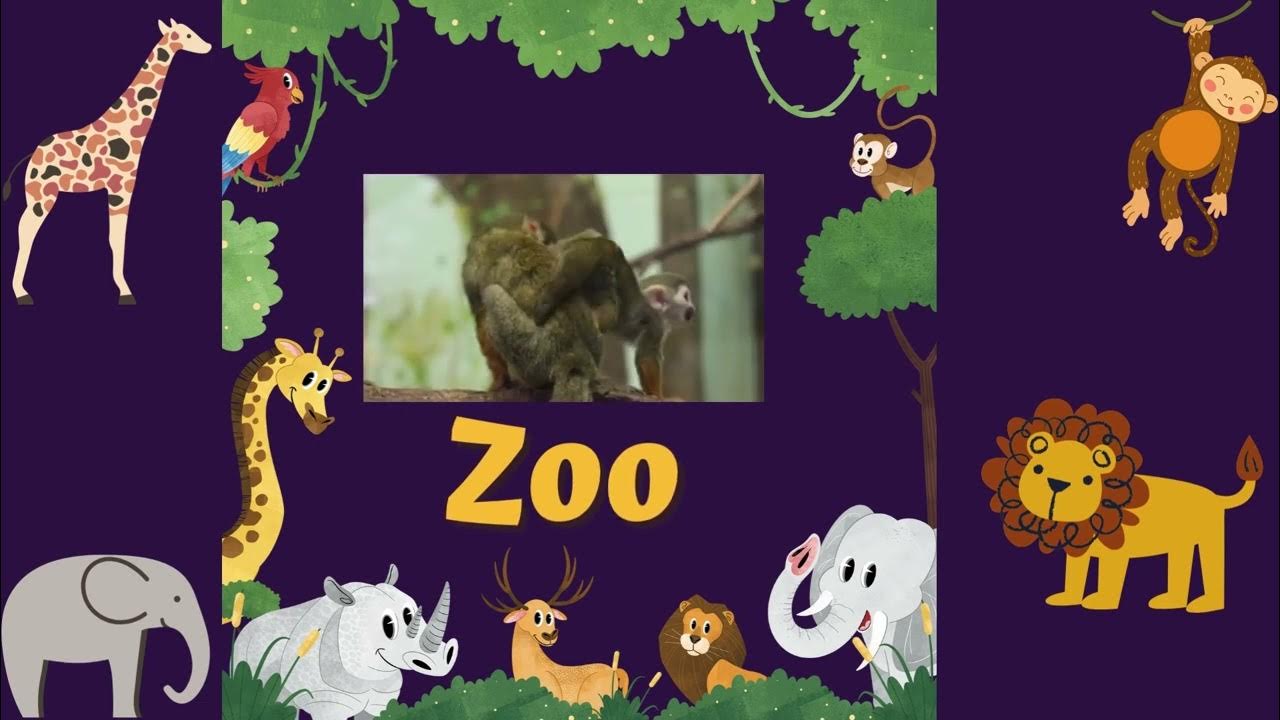 Letter Z , Zoo , Zebra, Zipper, Zero - YouTube