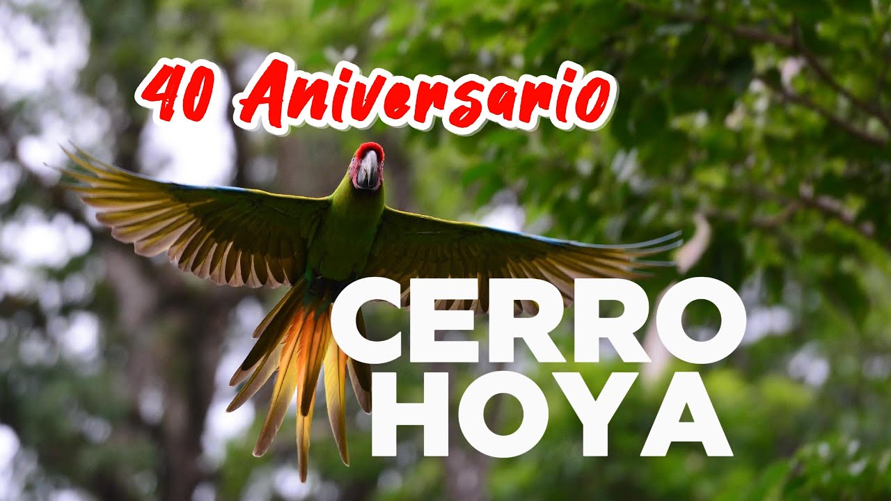 ¡Celebrando 40 Años del Parque Nacional Cerro Hoya! Evento de ...