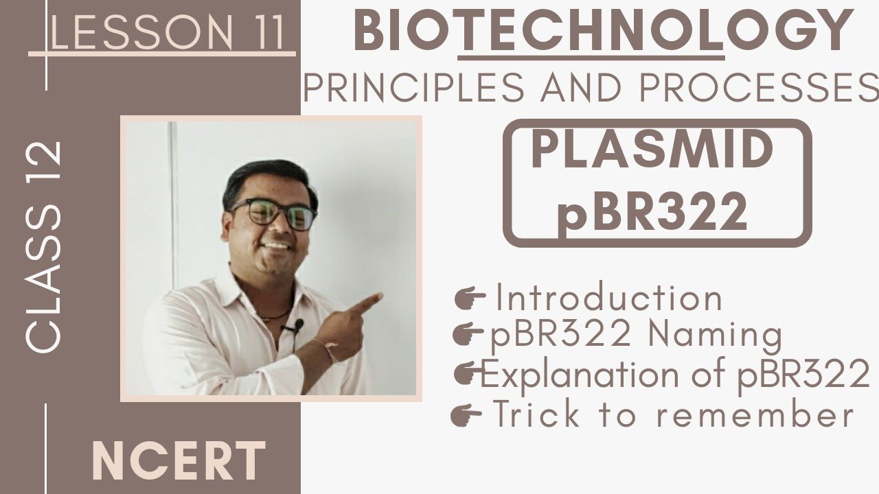 Biotechnology Principles And Processes Class 12 || Plasmid || pBR322 ...