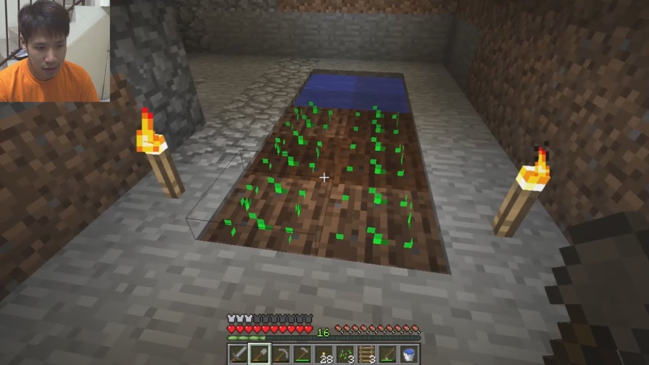 DENNIS & MINECRAFT#9 - 地下室 BASEMENT - YouTube