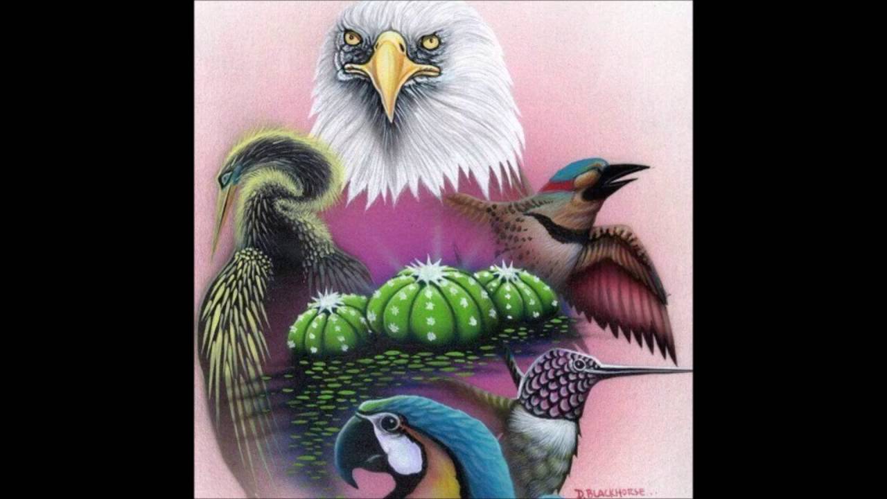 Peyote Songs - YouTube