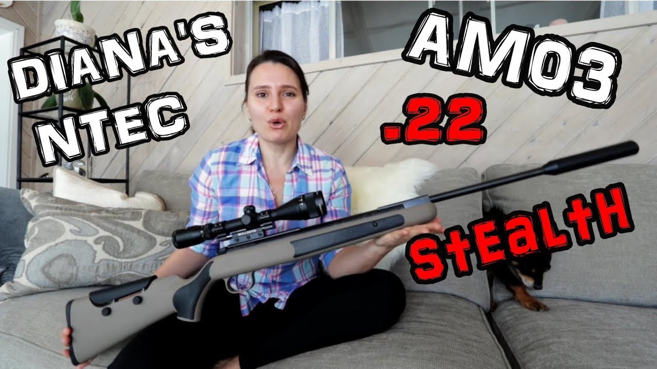 Diana Stealth .22 Air Rifle + 25 & 50 Yard Accuracy TEST + FULL REVIEW ...