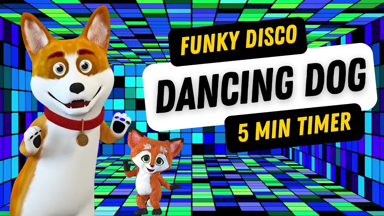 Dancing Disco Dog Countdown Timer 5 Minutes with Funky Music - YouTube