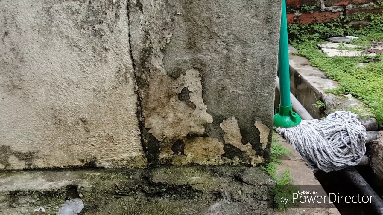 Building Pathology 5 Building Defects - YouTube