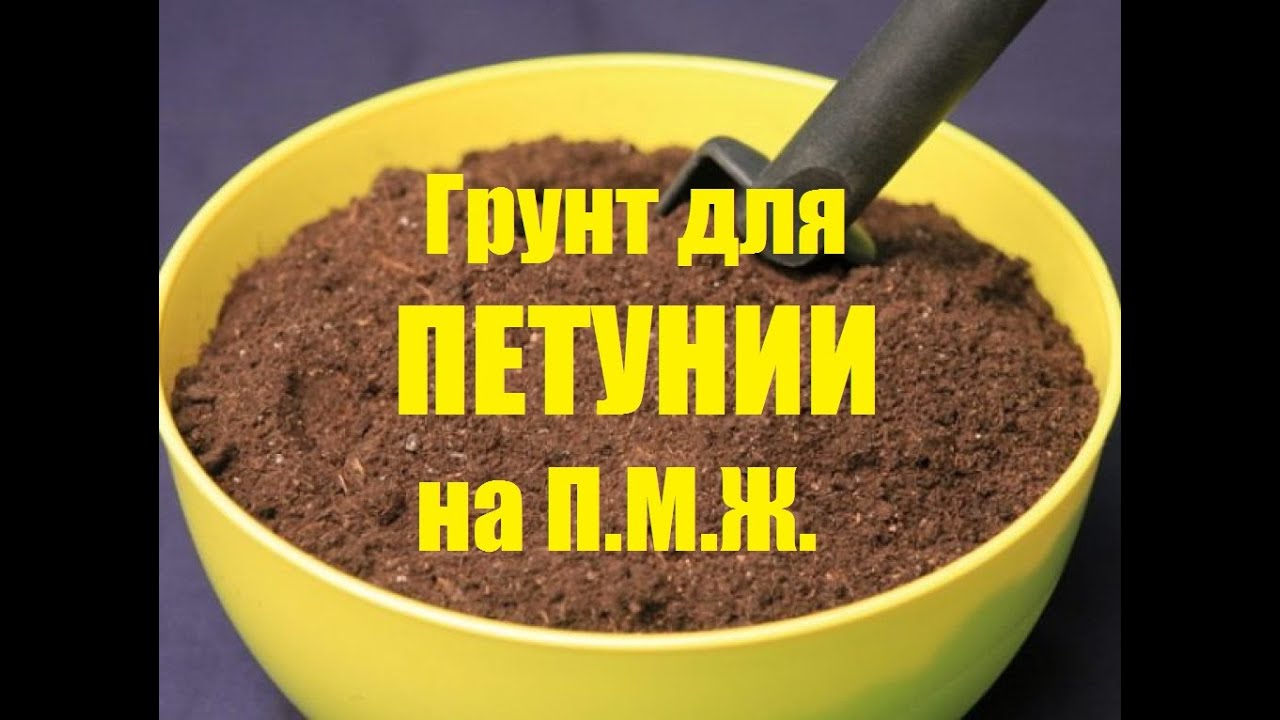 Грунт для петунии - YouTube