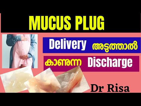Pregnancy Labor Sign Malayalam | Mucus Plug in Pregnancy Malayalam ...
