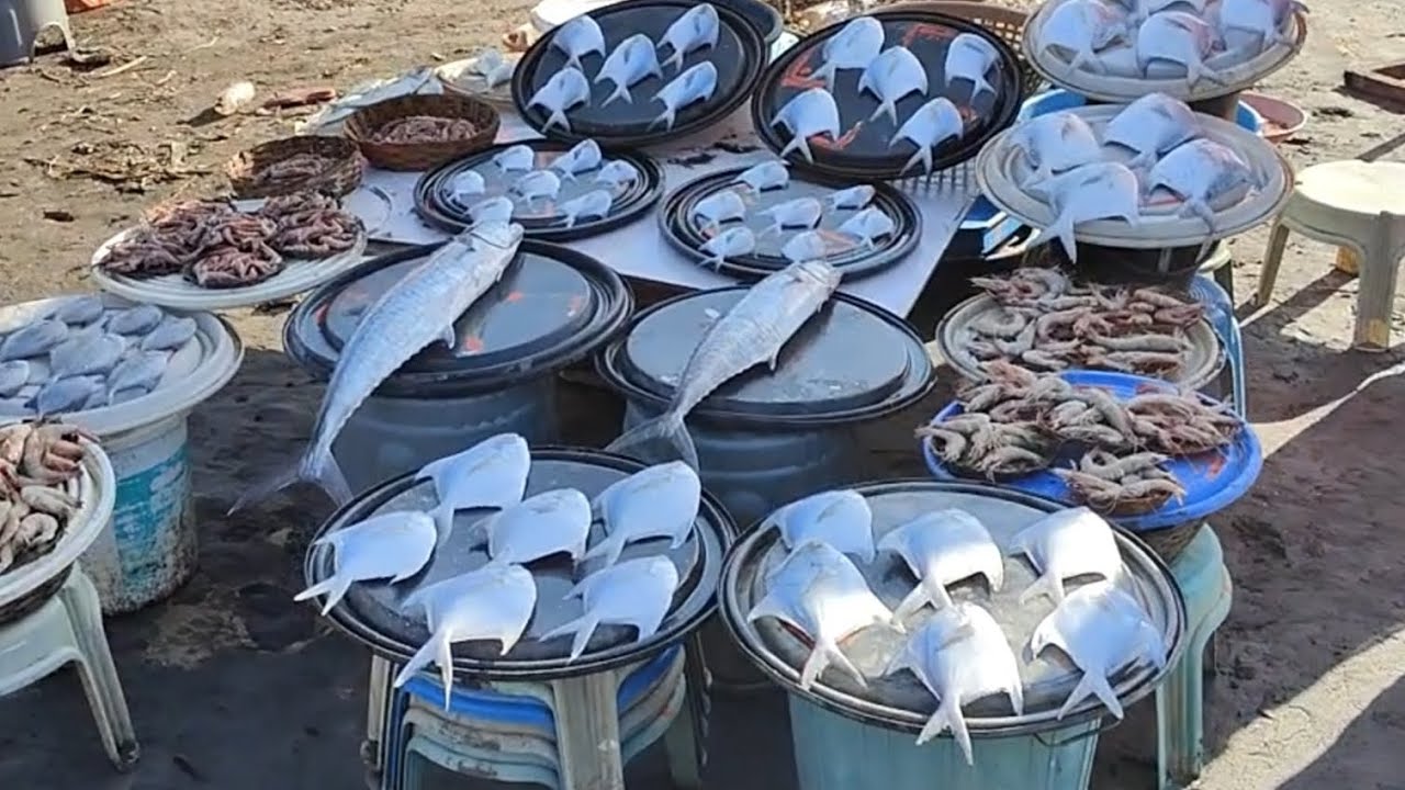 Dapoli Fish Market's BEST KEPT SECRET Finally Revealed! - YouTube